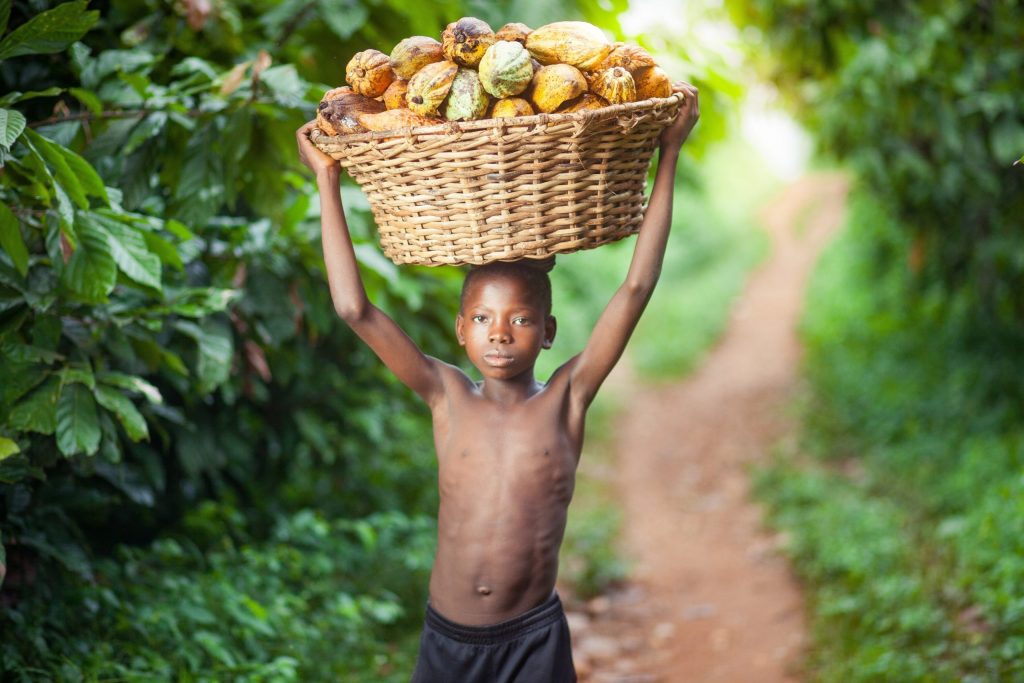 Child and Forced Labour – Fedco Sustainabilty