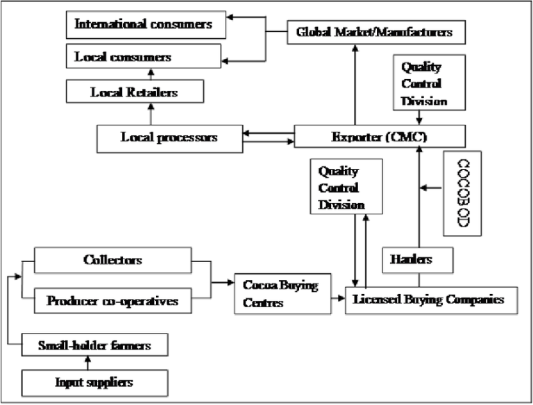 Cocoa Sector Supply Chain – Fedco Sustainabilty